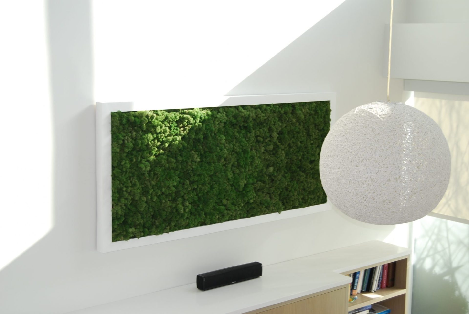 Preserved Moss Wall Frame - Greenscape Design & Decor