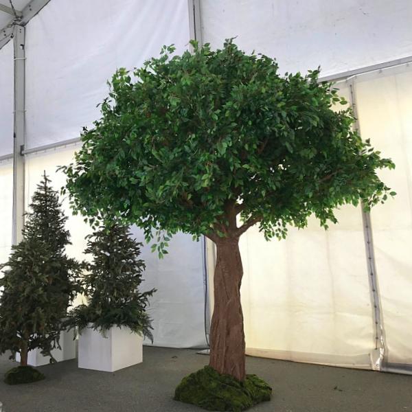 Canopy Tree - Green Ficus - Synthetic Trunk - Greenscape Design & Decor