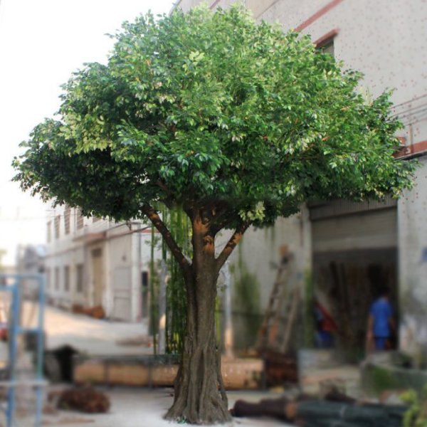 Canopy Tree - Green Ficus - Synthetic Trunk - Greenscape Design & Decor