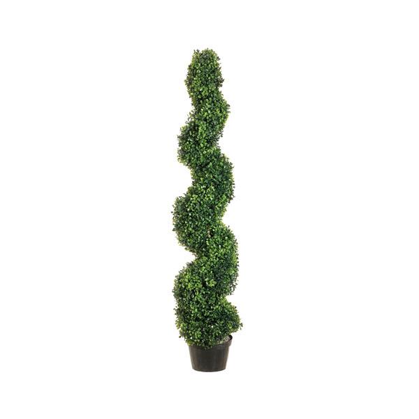 Boxwood Spiral Topiary - Greenscape Design & Decor