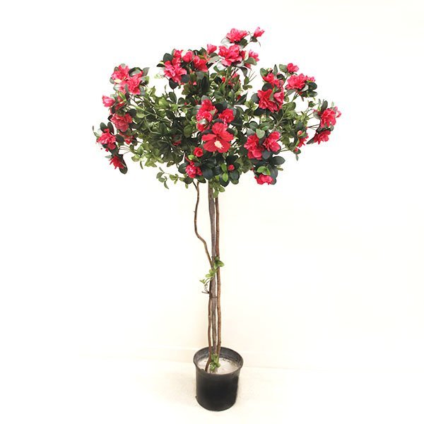 Azalea Topiary - Greenscape Design & Decor