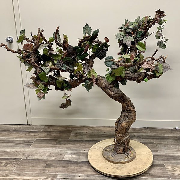 Grapevine Tree - Greenscape Design & Decor
